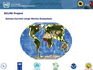 Guinea Current Large Marine Ecosystem Marine Management and Governance ...