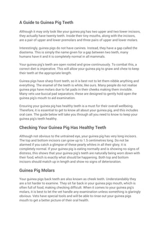 The Guinea Pig Care Guide | PDF | Pets