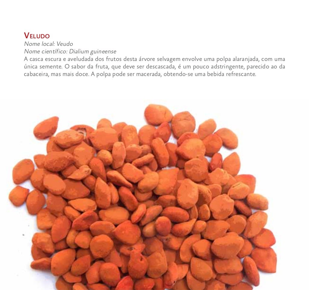 Guinée Bissau, da terra a mesa