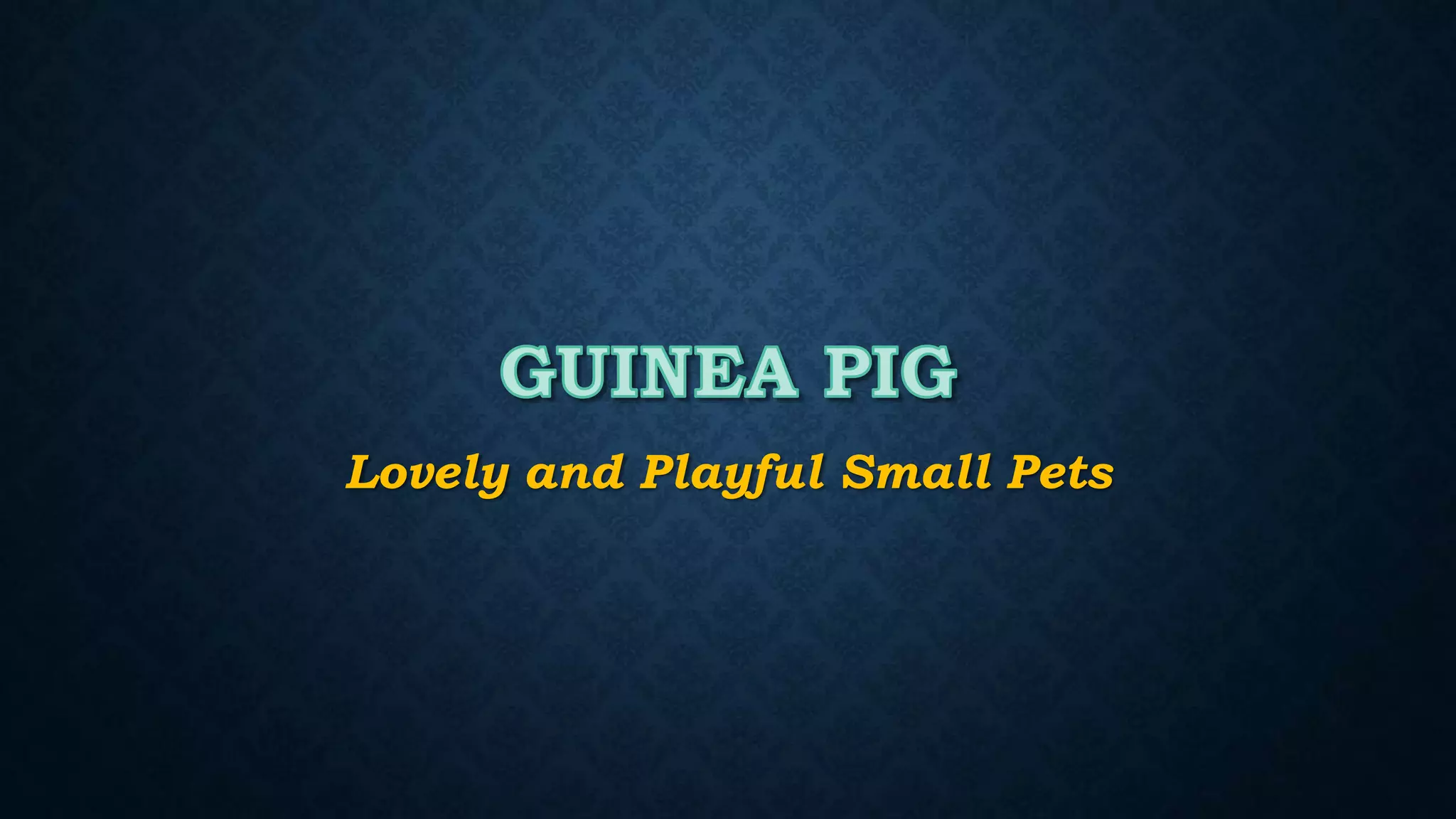 Guinea pig | PPTX
