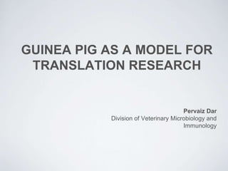 Guinea Pig as a Model for Translation Research | PPTX