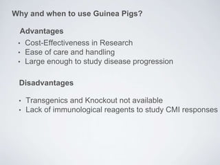 Guinea Pig as a Model for Translation Research | PPT