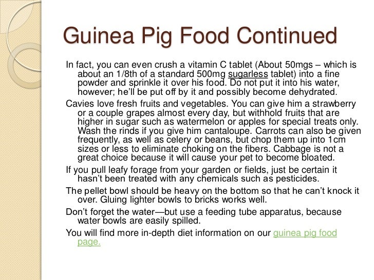 Guinea Pig Care Sheet Slideshow | Guinea Pig Wikia | Fandom