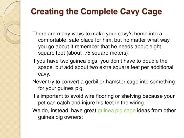 Guinea Pig Care Sheet Slideshow | Guinea Pig Wikia | Fandom