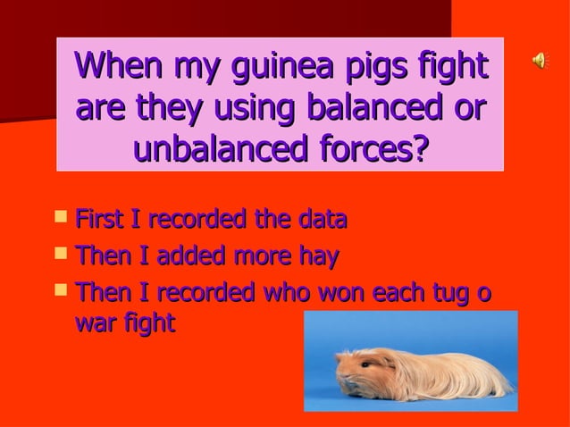 Guinea Pig Power Point | PPT