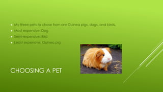 Guinea pig powerpoint | PPTX