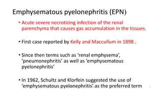 EMPHYSEMATOUS PYELONEPHRITIS | PDF