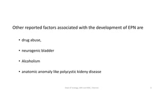 EMPHYSEMATOUS PYELONEPHRITIS | PDF