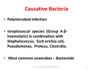 Fournier gangrene | PDF