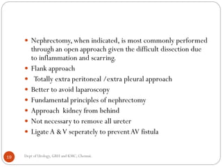 Surgical management of GUTB | PDF