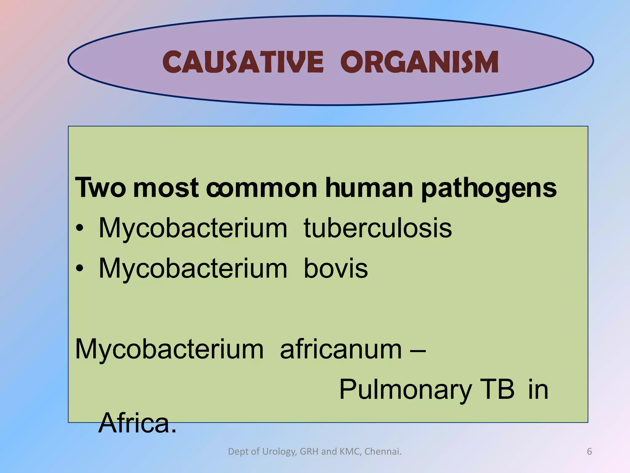 Introduction of GUTB | PPT