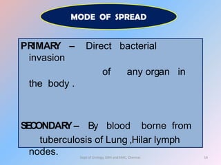 Introduction of GUTB | PPT