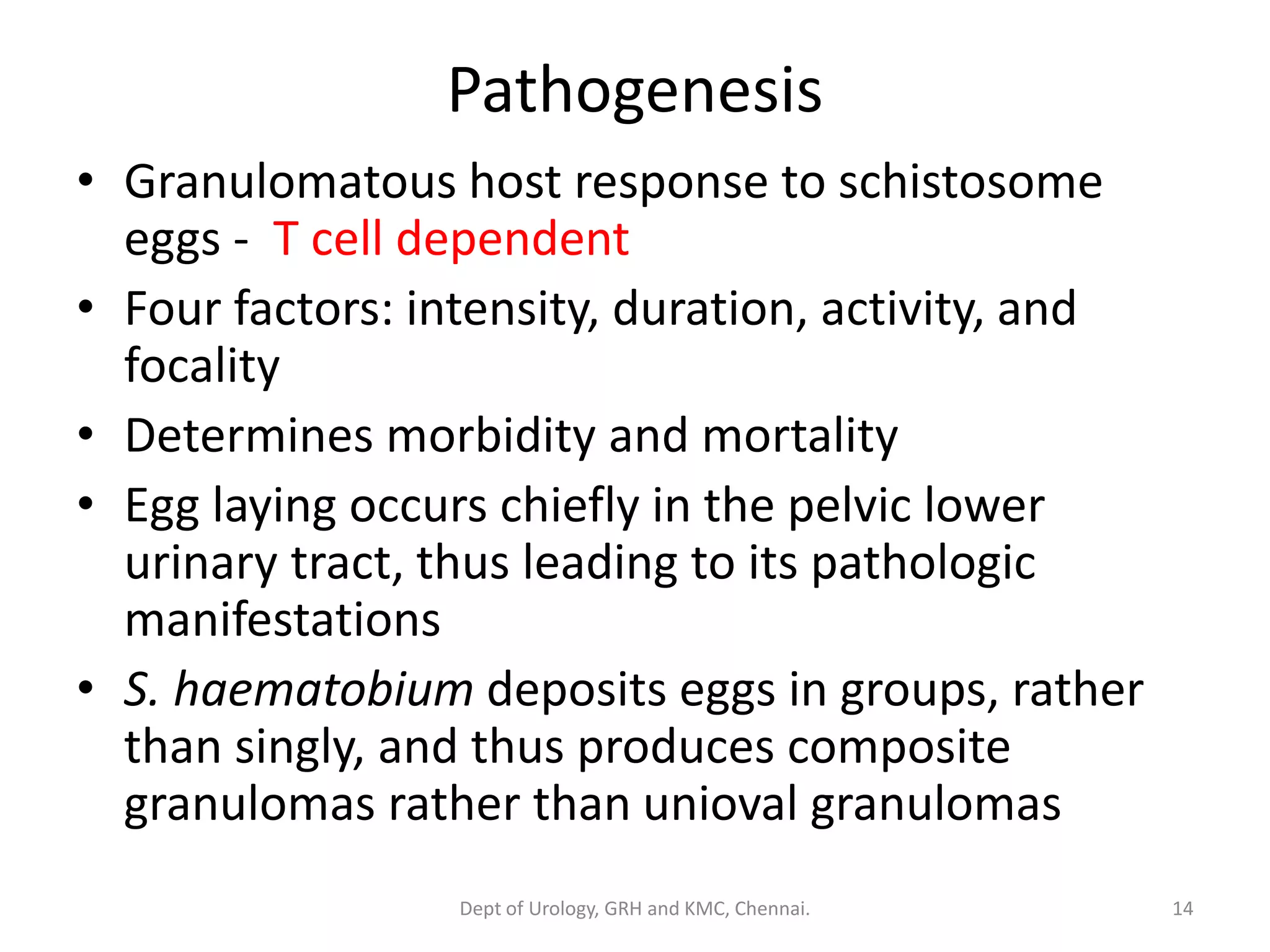 PARASITIC INFECTIONS IN UROLOGYS | PDF