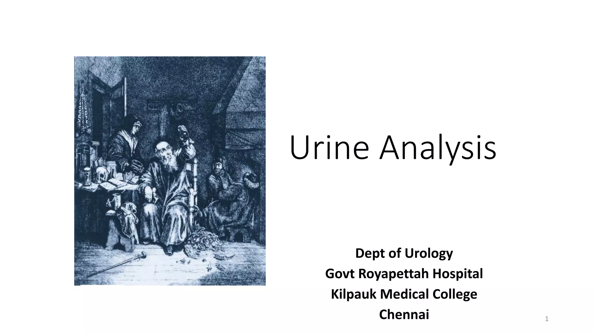URINE ANALYSIS | PPT | Free Download