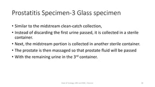 URINE ANALYSIS | PDF