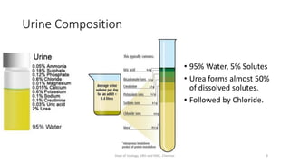 URINE ANALYSIS | PDF