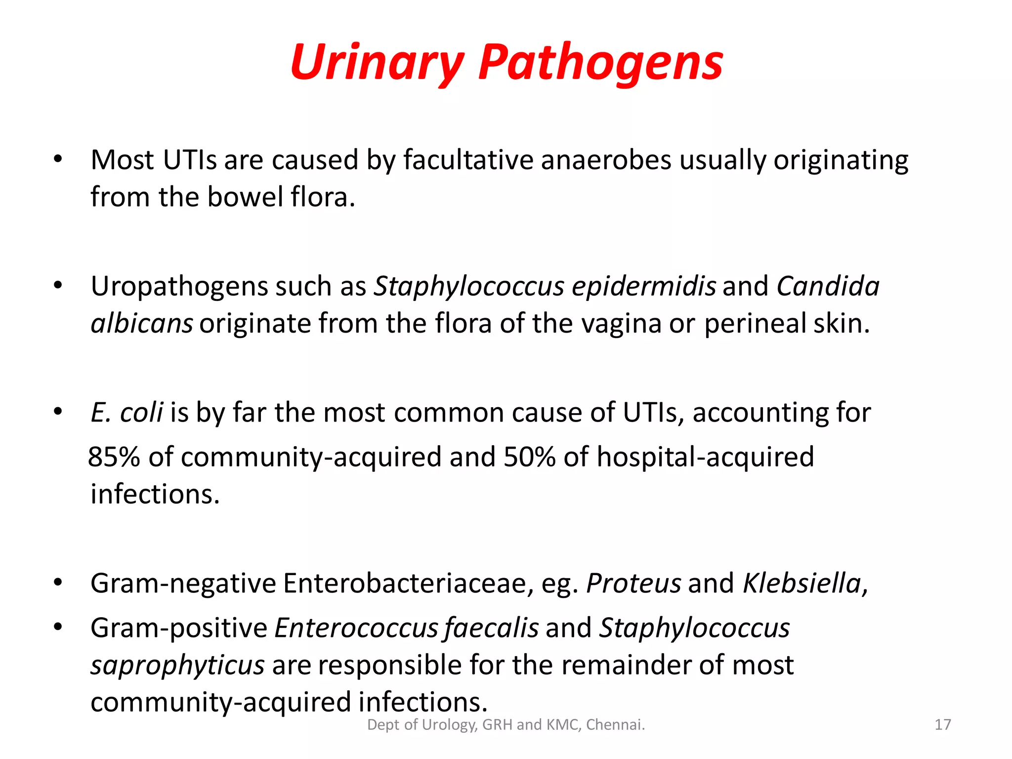 UPPER URINARY TRACT INFECTION | PDF