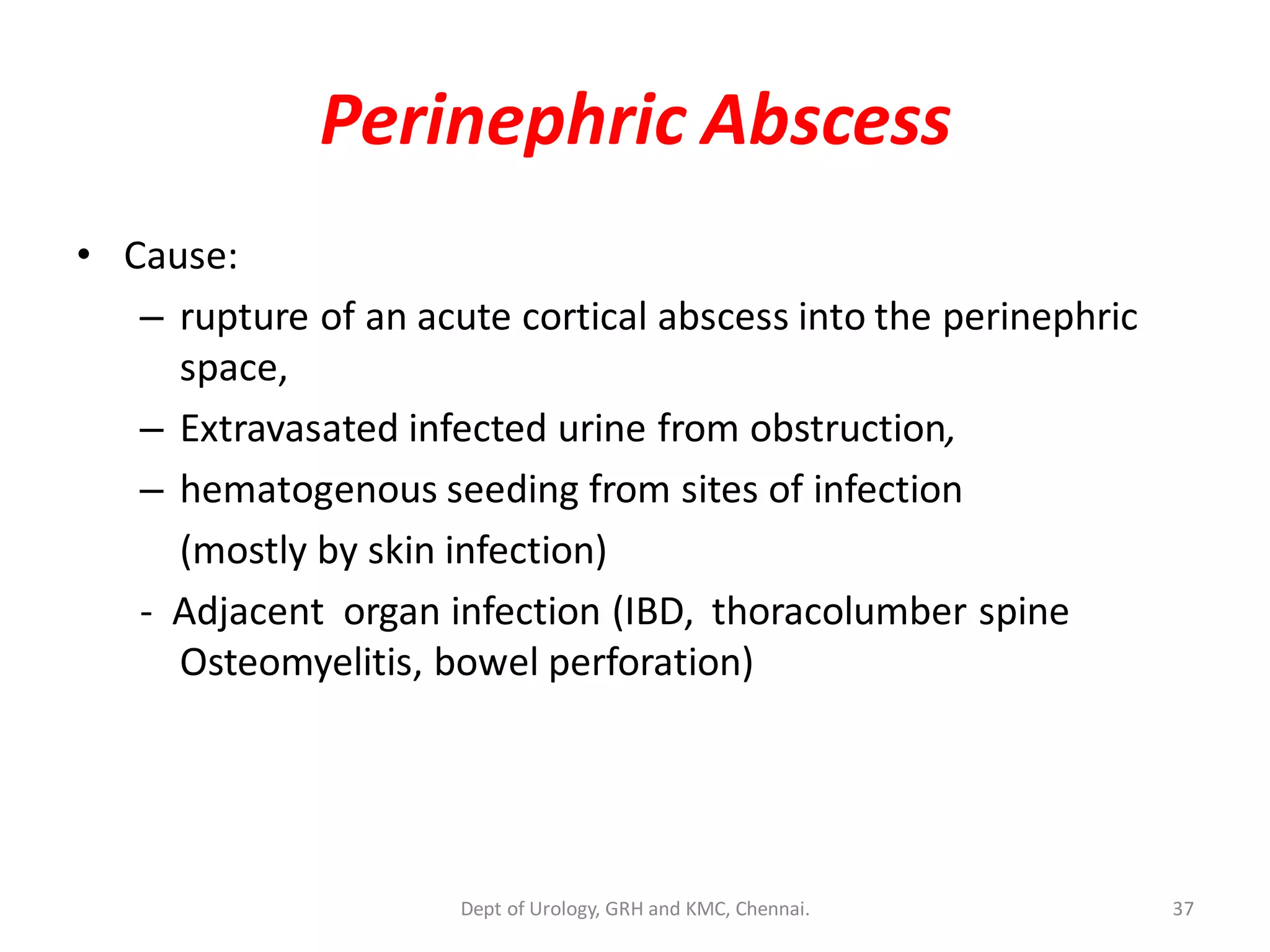 UPPER URINARY TRACT INFECTION | PDF