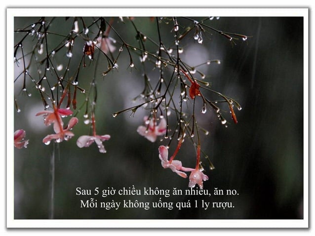 Gui nguoi ban quy | PPT