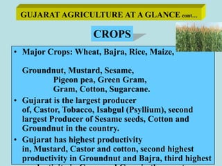 Gujarat Agriculture: An Overview | PPTX