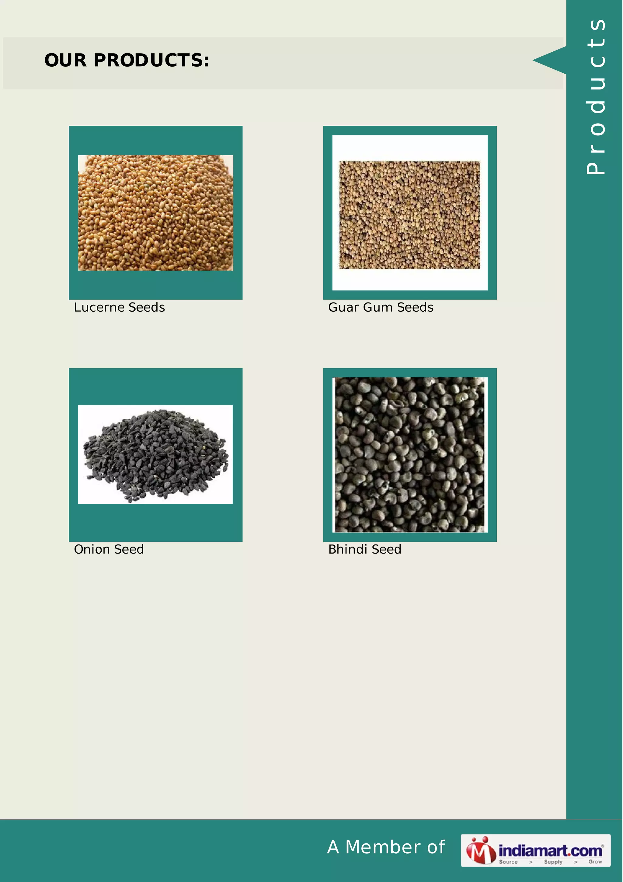 Gujarat seeds-company | PDF | Agriculture | Industries