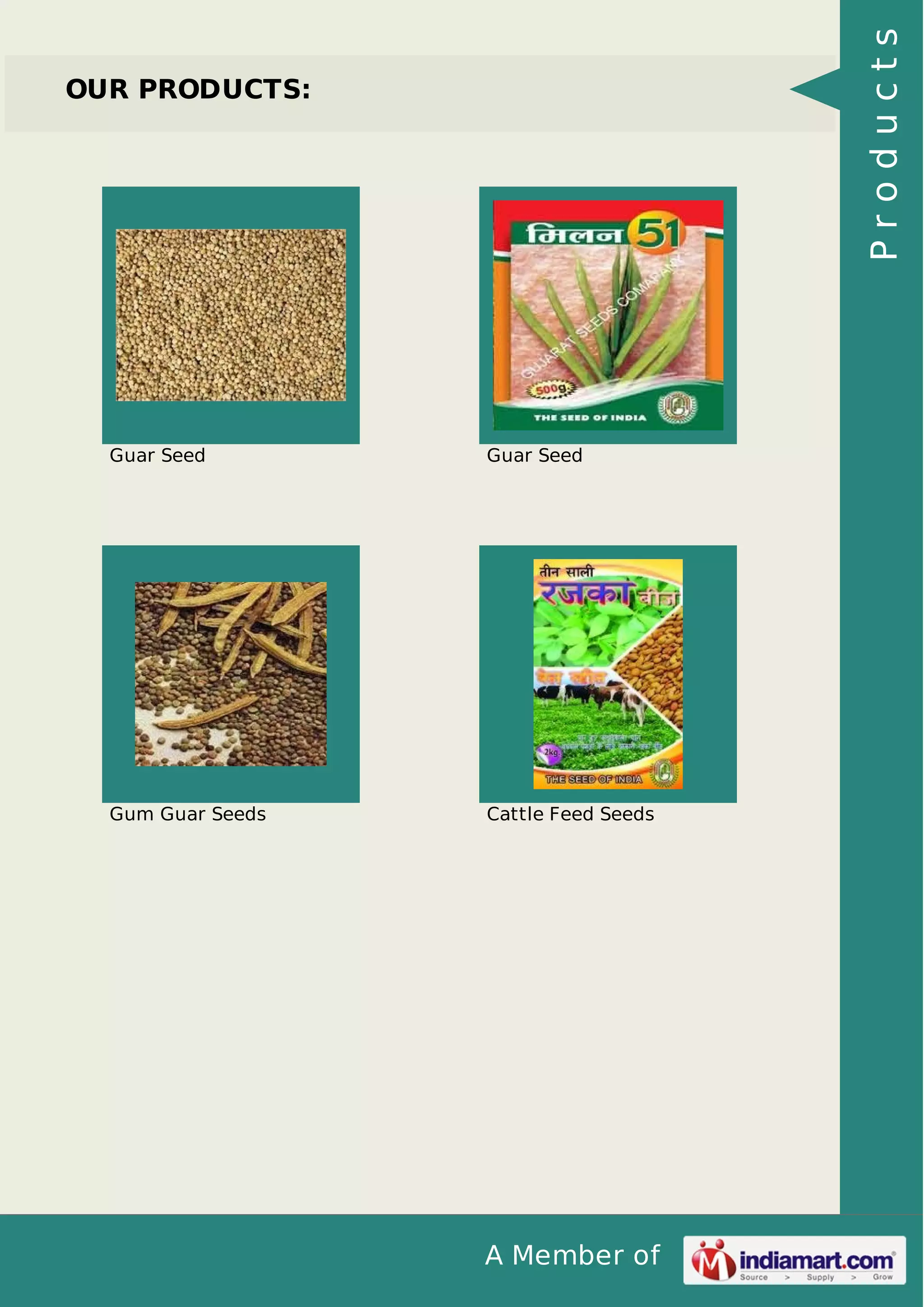 Gujarat seeds-company | PDF | Agriculture | Industries