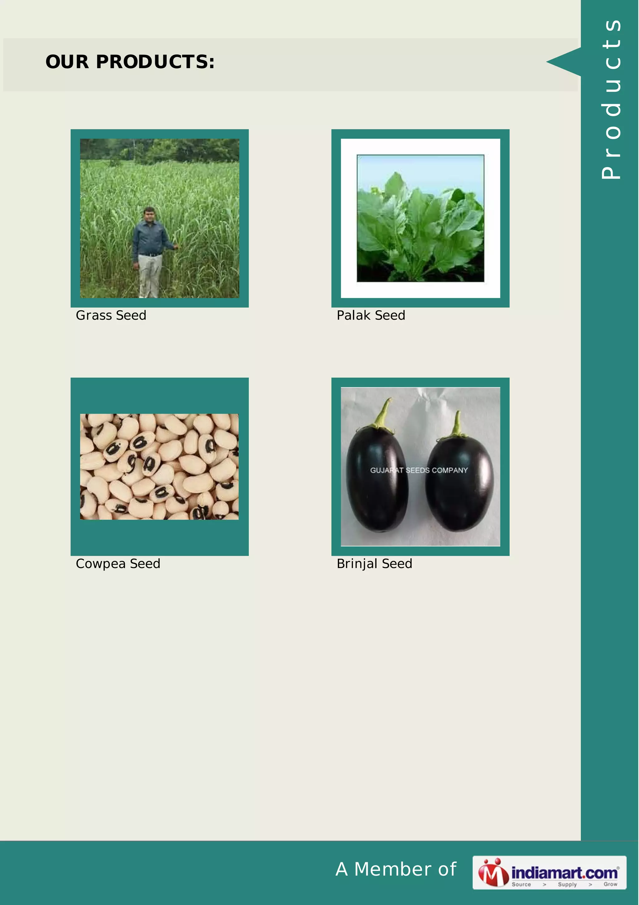 Gujarat seeds-company | PDF | Agriculture | Industries