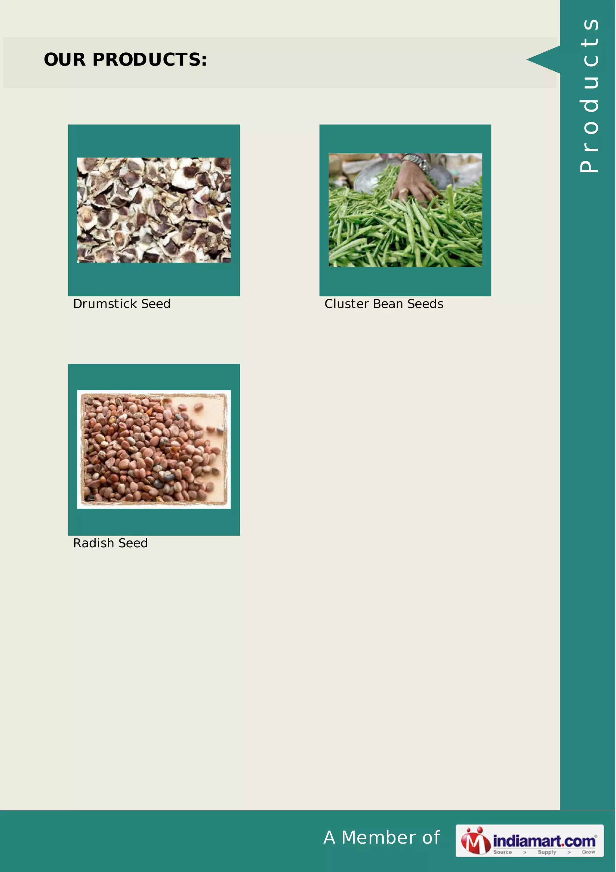 Gujarat seeds-company | PDF | Agriculture | Industries