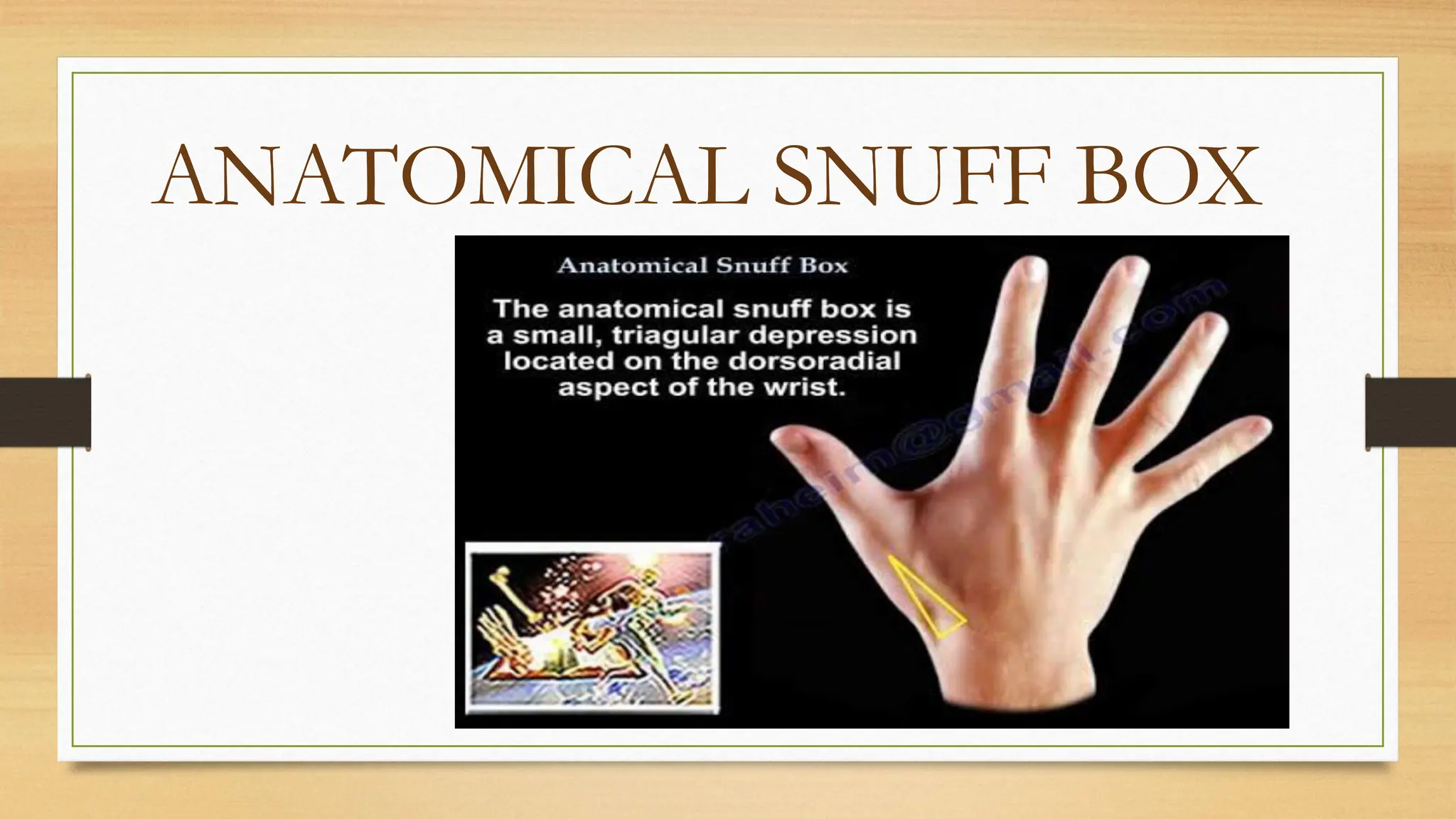 GULAM RASOOL SALMANI (79) ANATOMICAL SNUFF BOX.pdf