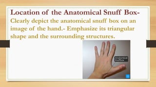 GULAM RASOOL SALMANI (79) ANATOMICAL SNUFF BOX.pdf