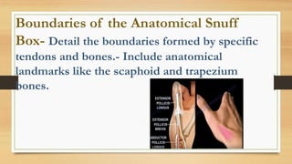 GULAM RASOOL SALMANI (79) ANATOMICAL SNUFF BOX.pdf