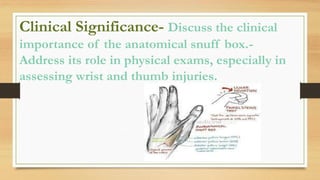 GULAM RASOOL SALMANI (79) ANATOMICAL SNUFF BOX.pdf