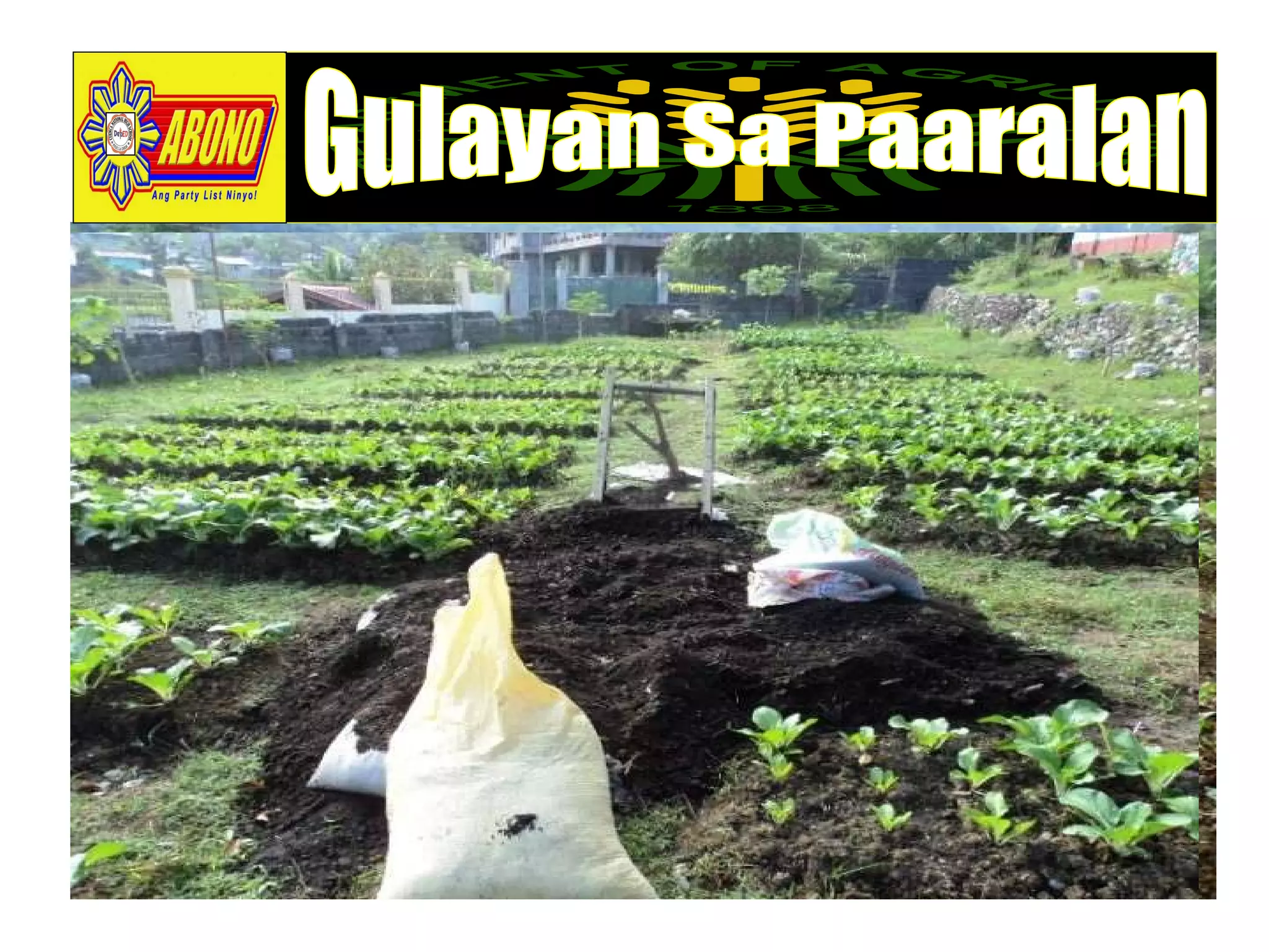 Gulayan Sa Paaralan 2010 | PPT