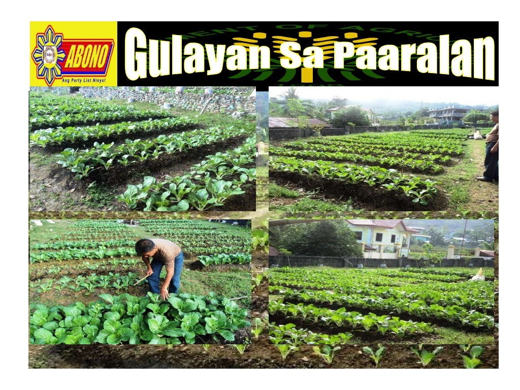 Gulayan Sa Paaralan 2010