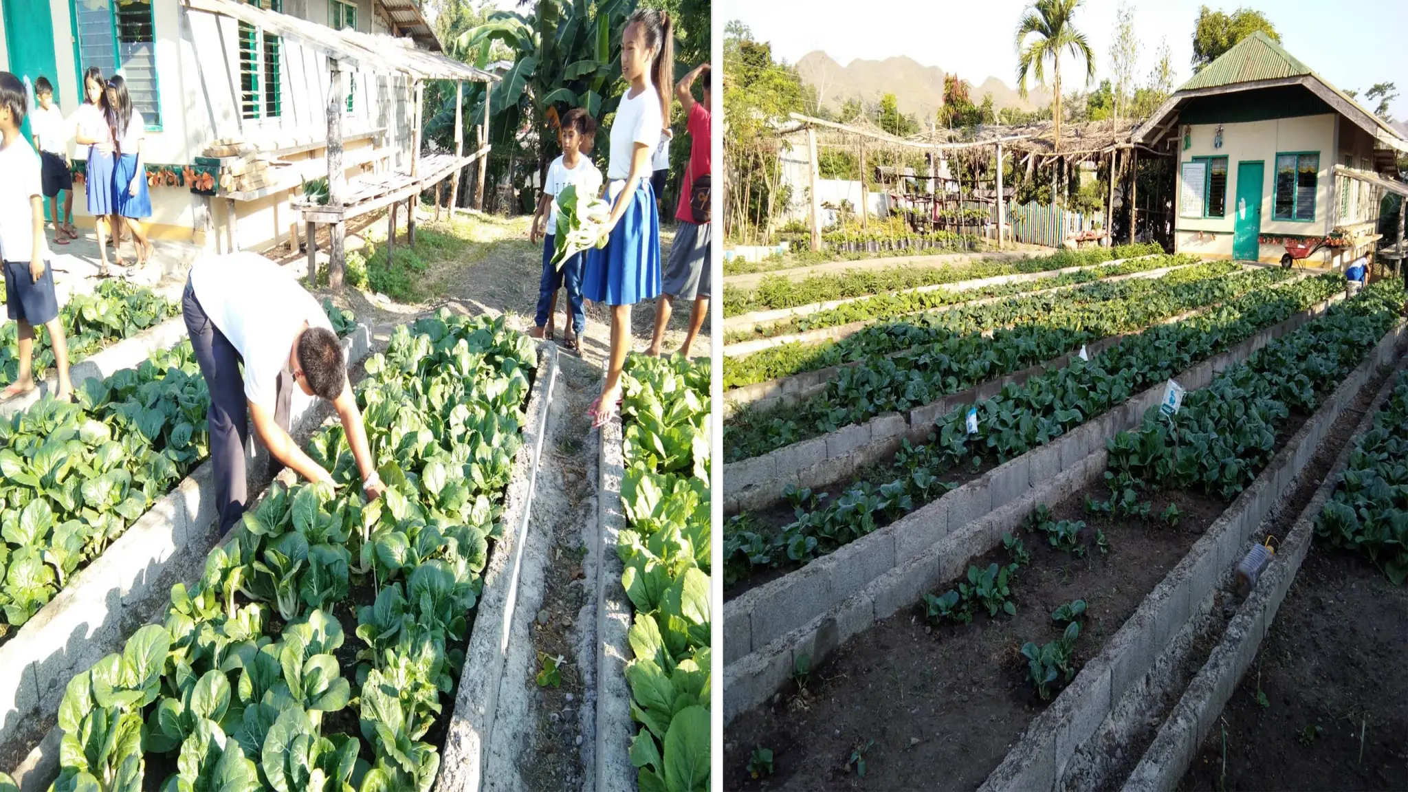 GULAYAN sa paaralannnnnnnnnnnnnnnnnnnnnn | PPT