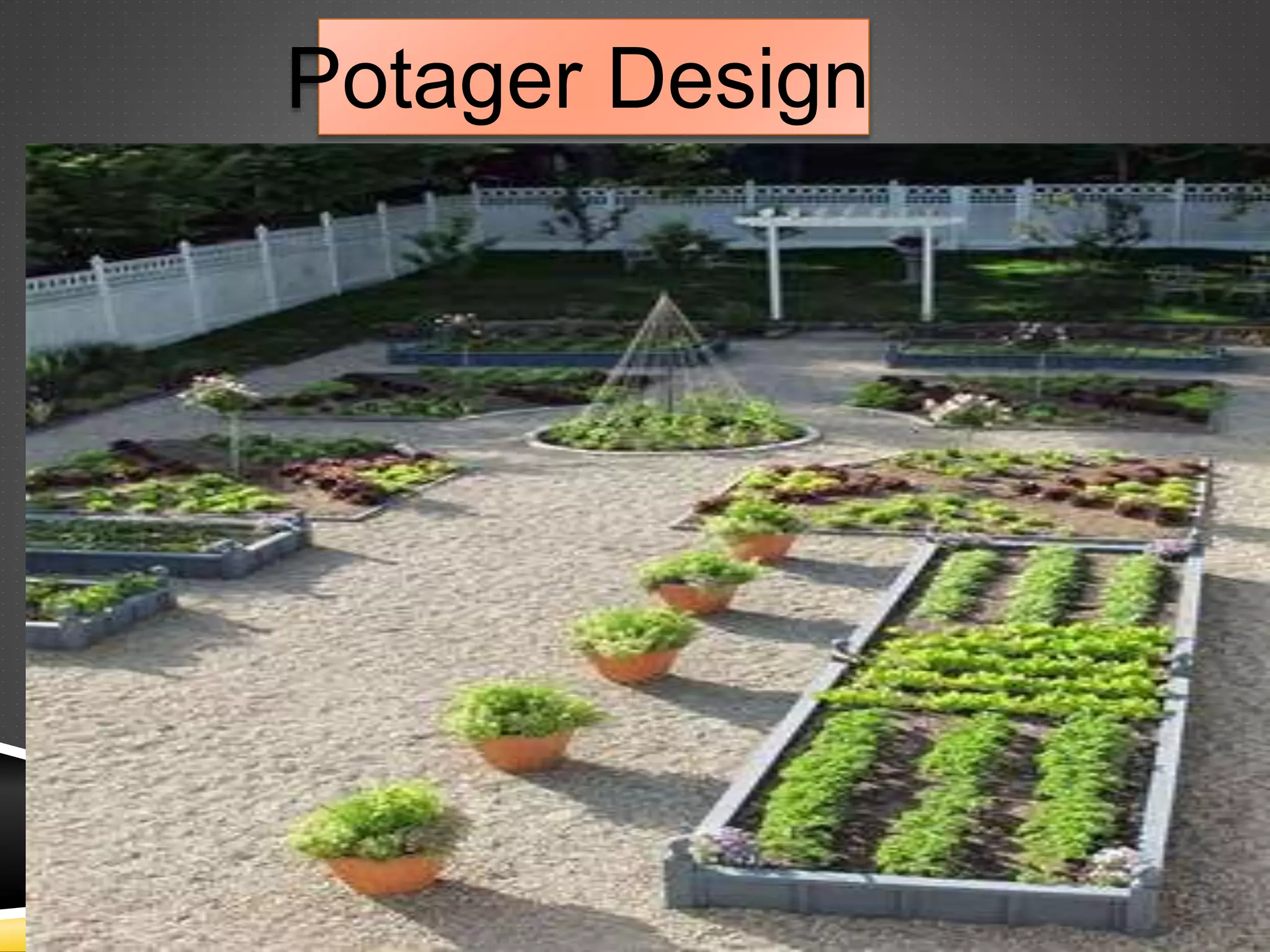 Gulayan sa Paaralan Program.pptx