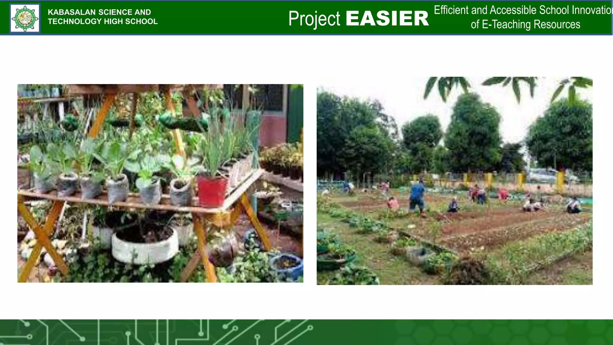 GULAYAN SA PARALAN.pptx