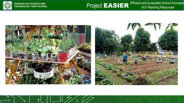 GULAYAN SA PARALAN.pptx | Secondary Education | Education