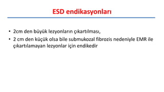 GÜLDEHAN İLAN ESD EMR POEM.pptx