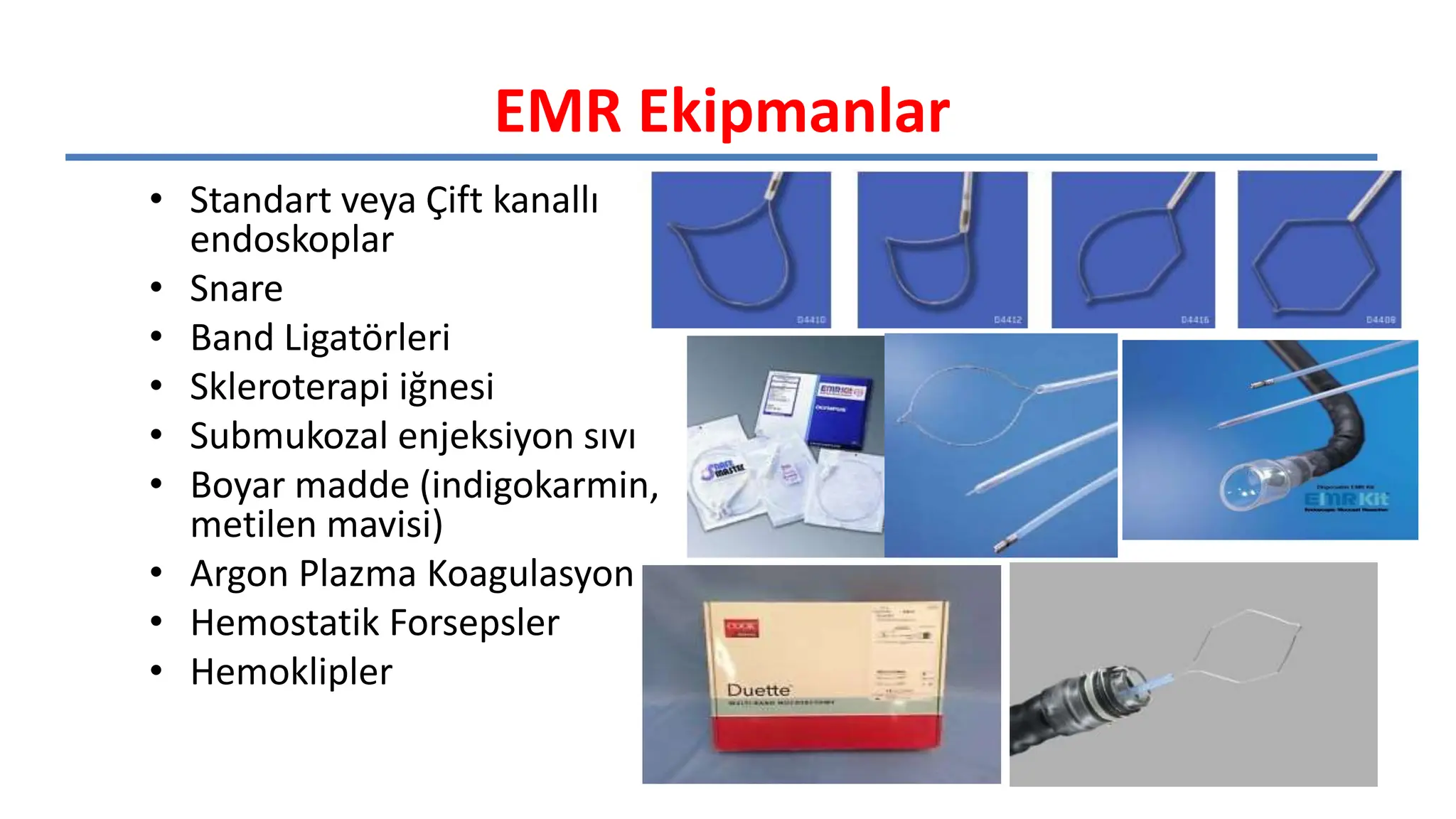 GÜLDEHAN İLAN ESD EMR POEM.pptx