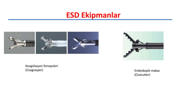GÜLDEHAN İLAN ESD EMR POEM.pptx