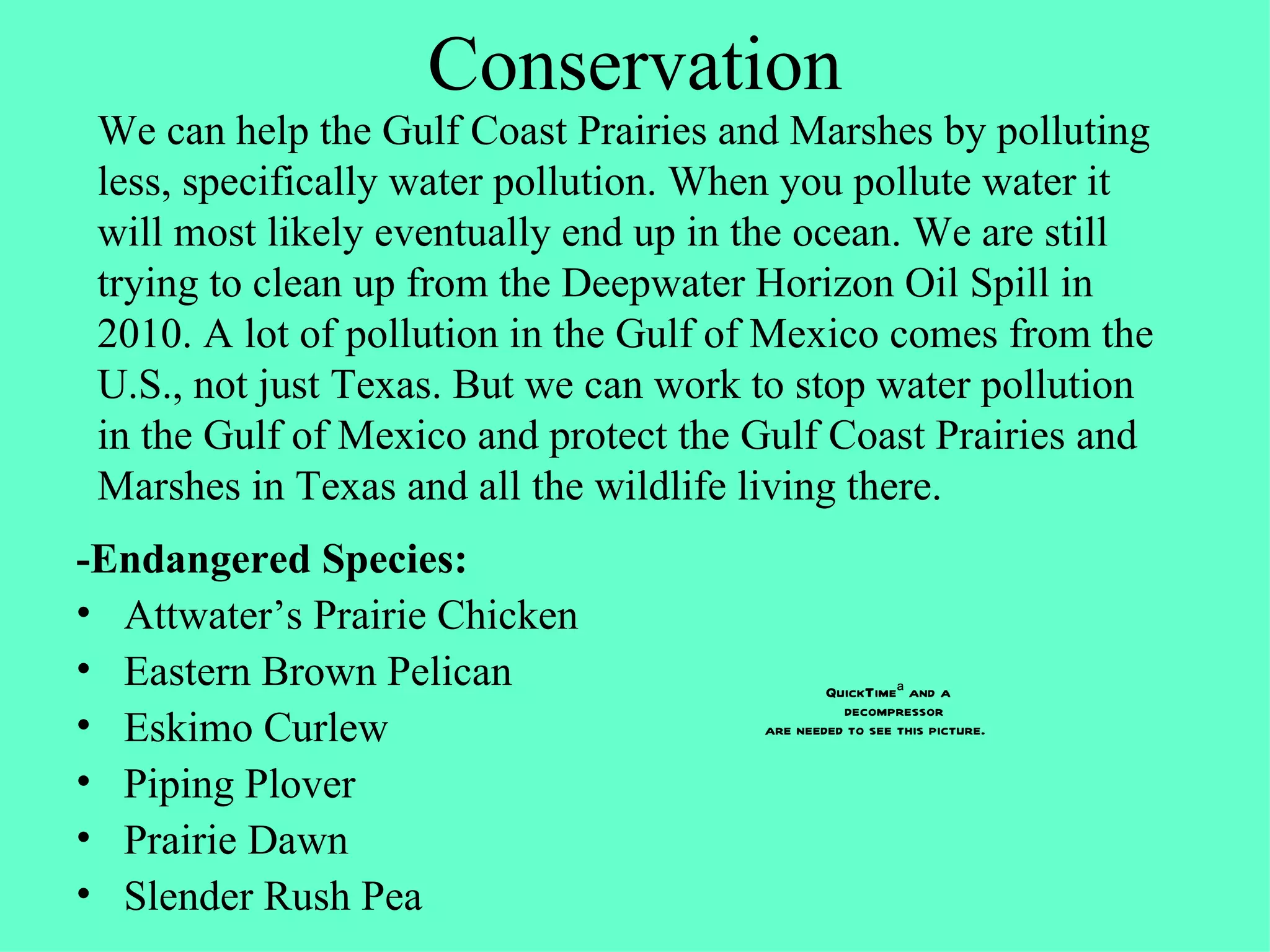 Gulf coast prairies | PPT
