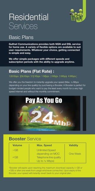 Gulfnet Profile | PDF