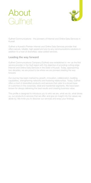 Gulfnet Profile | PDF