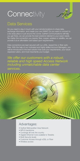 Gulfnet Profile | PDF