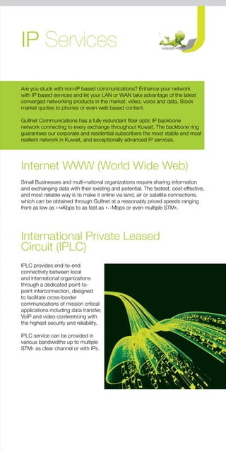 Gulfnet Profile | PDF