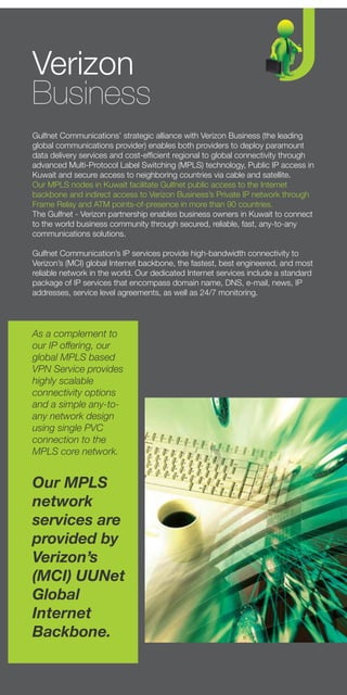 Gulfnet Profile | PDF