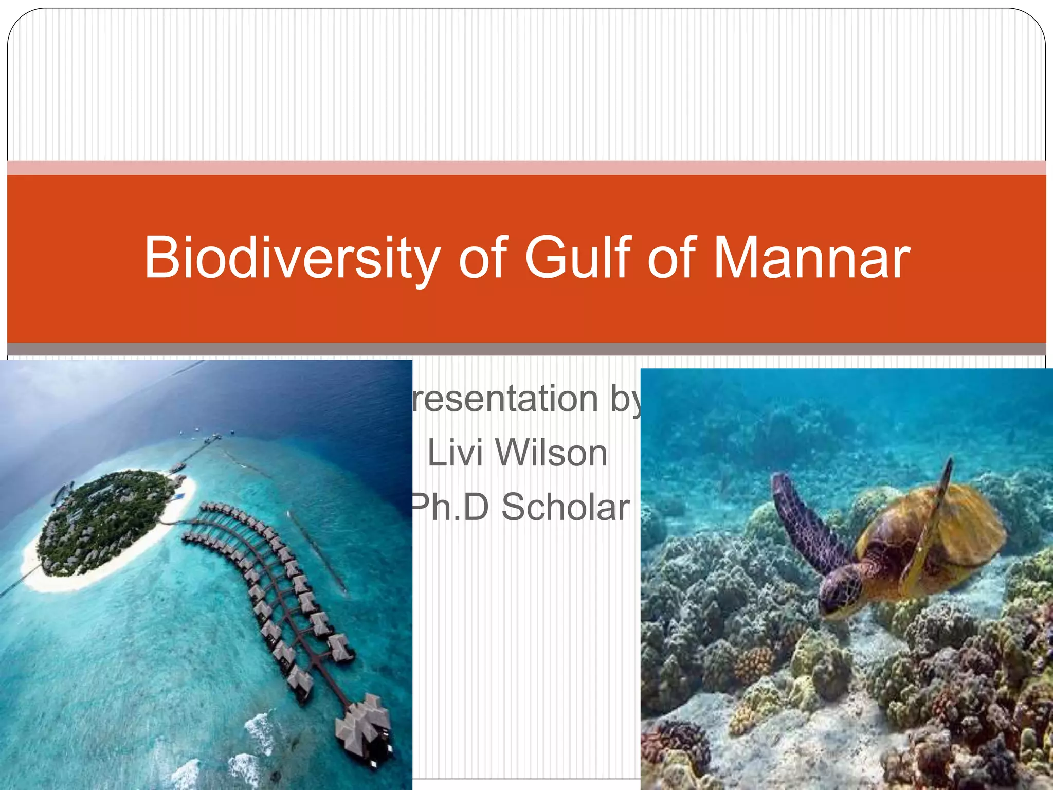 Gulf of mannar | PPTX