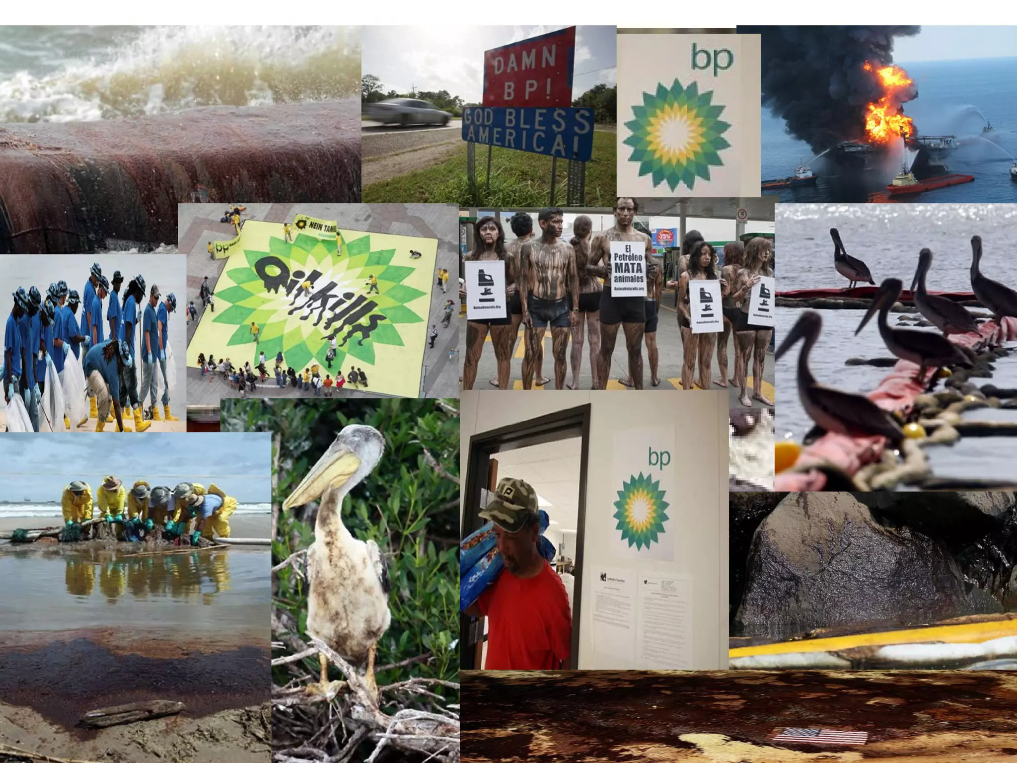Gulf of mexico oil spill | PPT