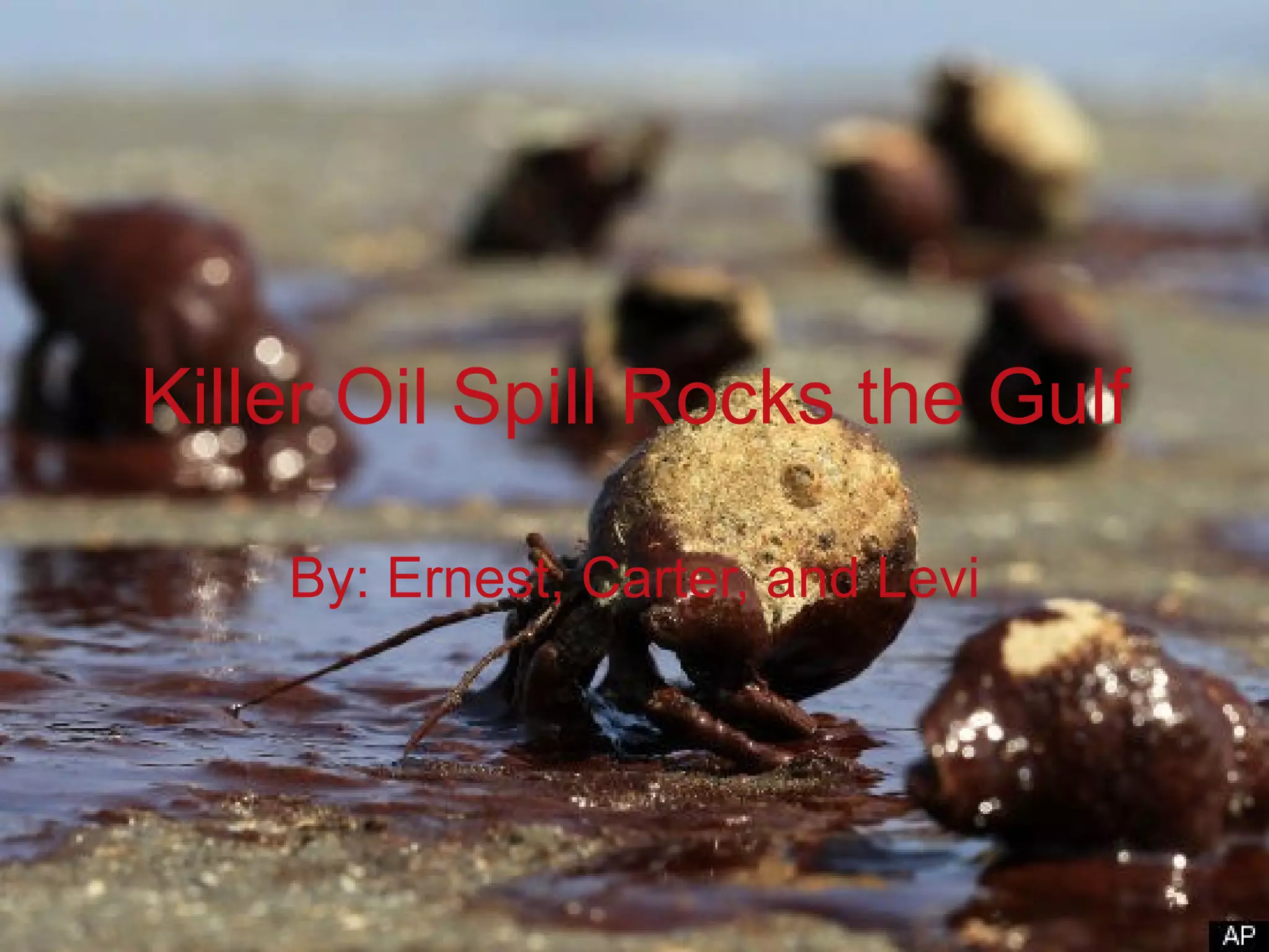 Gulf Oil Spill ppt. | PPT